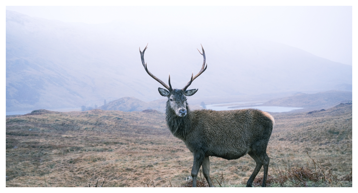 Glenpean Bothy | Timmy O'Mahony